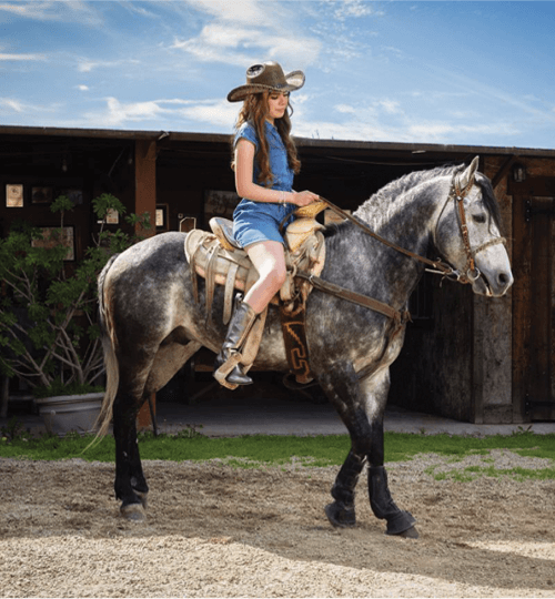 Michelle Sofia - invitación